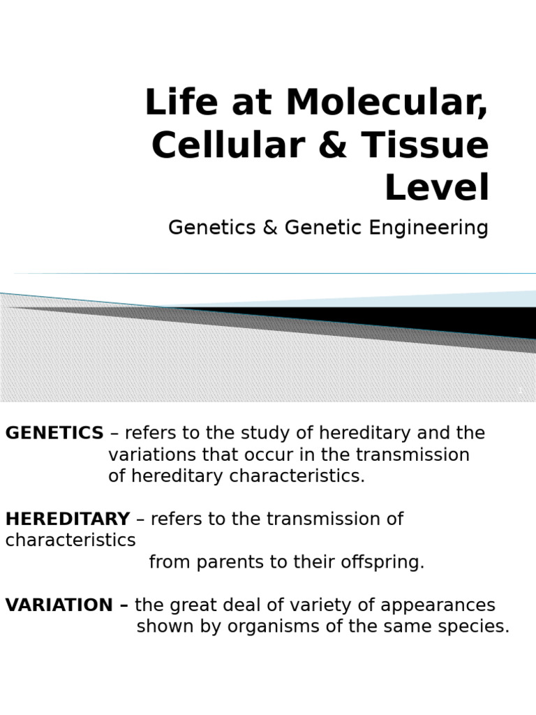 Genetics and Genetic Engineering 5 | PDF | Dominance (Genetics) | Allele