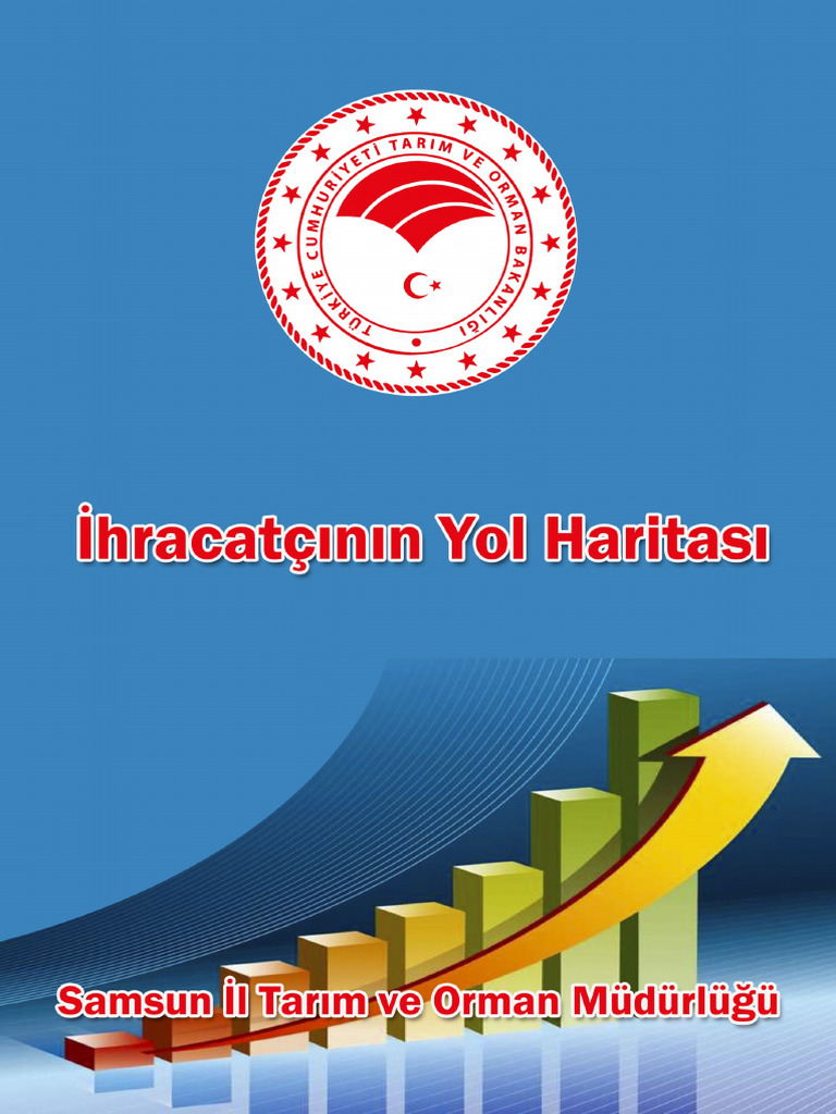 Ihracatcinin Yol Haritasi | PDF