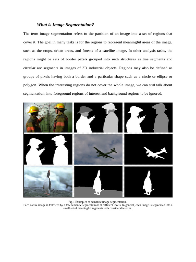 What Is Image Segmentation | PDF | Image Segmentation | Algorithms