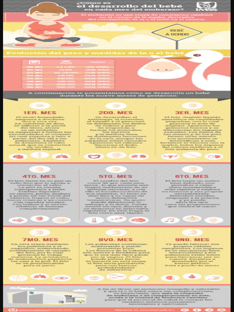 Recurso Digital Didáctico - Semana 05 - Desarrollo Del Bebé en Cada Mes ...