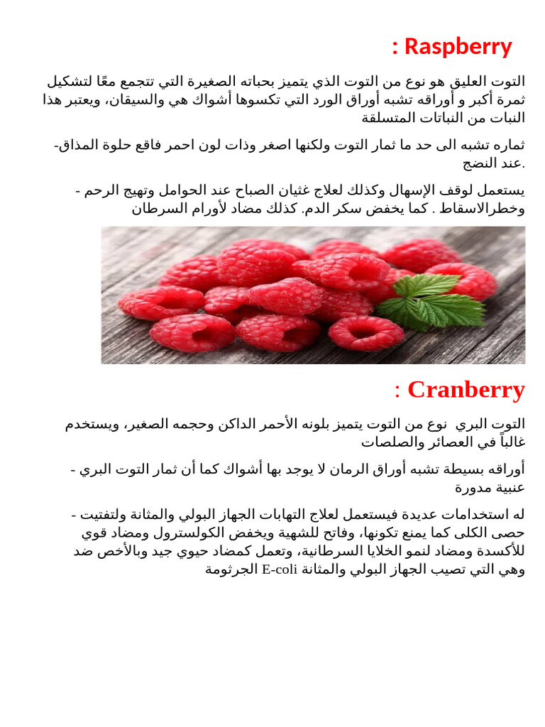 Ahmed Chattah | PDF