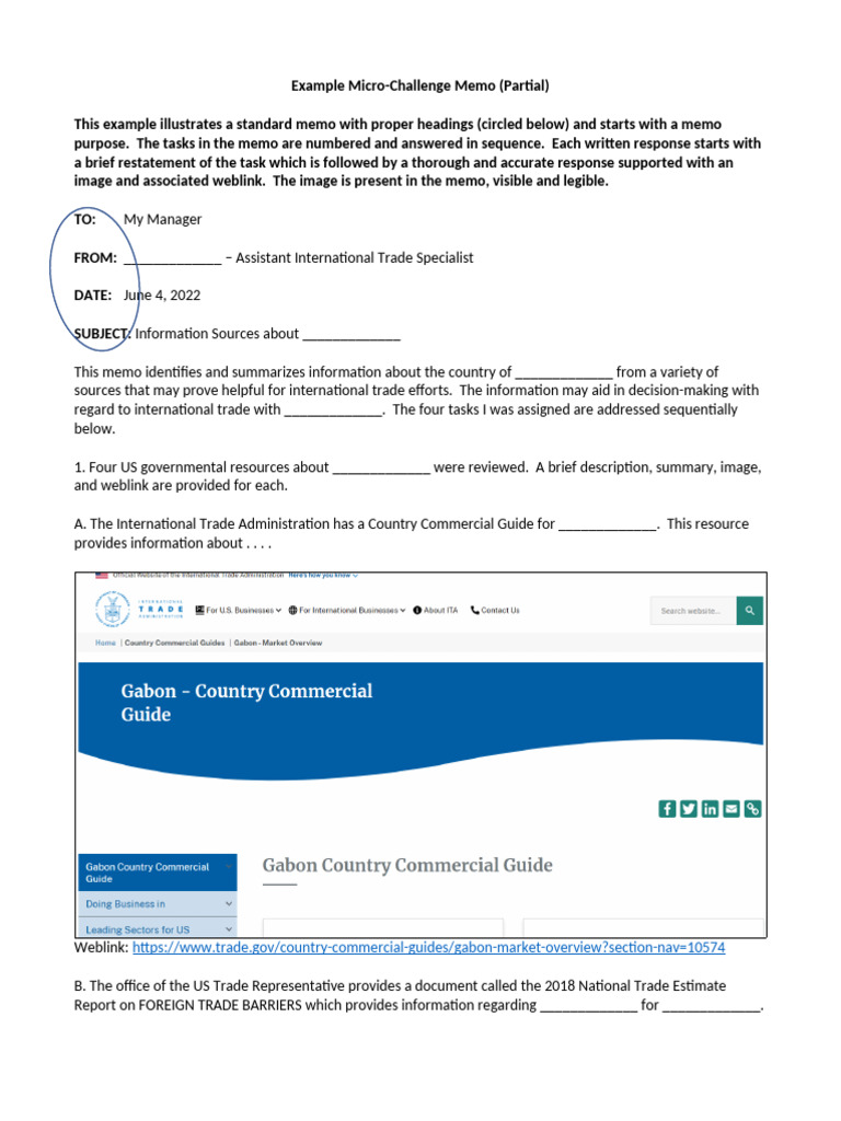 Example Micro-Challenge Memo | PDF