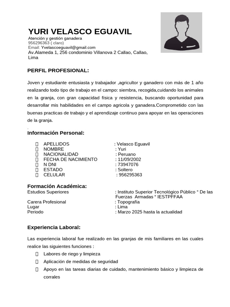 CV Yuri Word | PDF