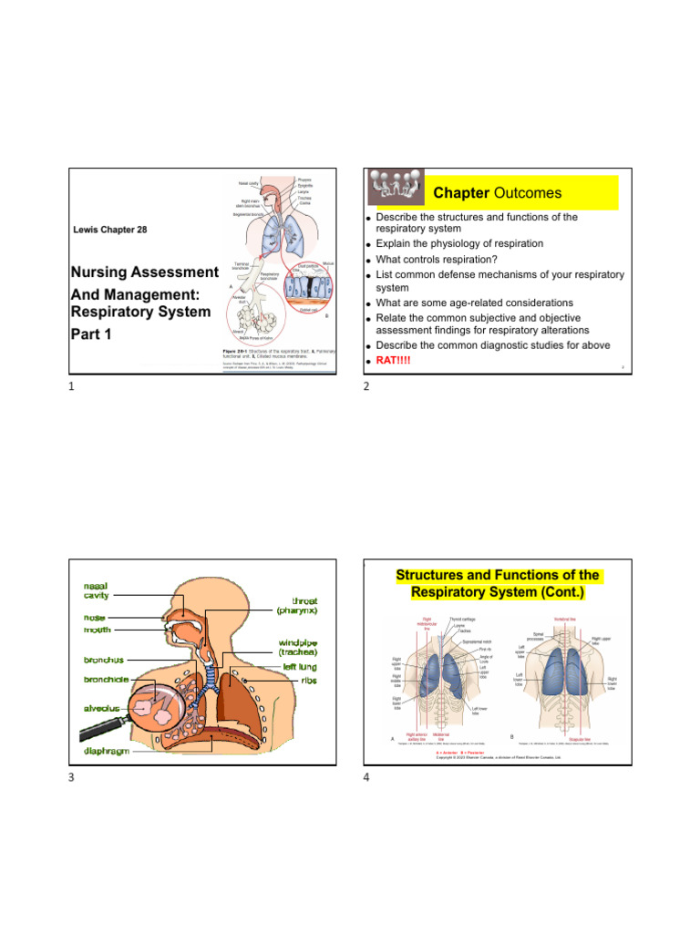Respiratory System Nursing Assessment Guide | PDF | Respiratory System ...