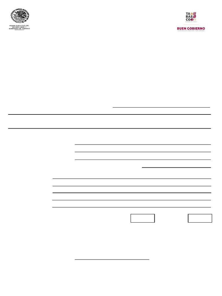 formato (2) (1) | PDF
