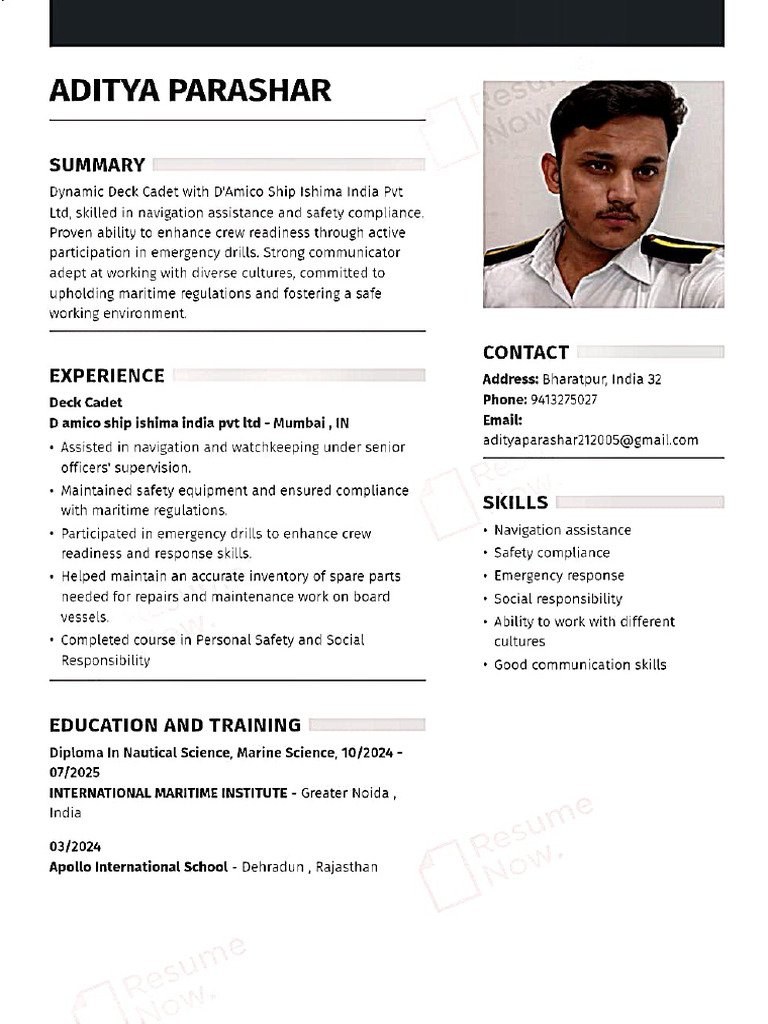 CV Aditya | PDF