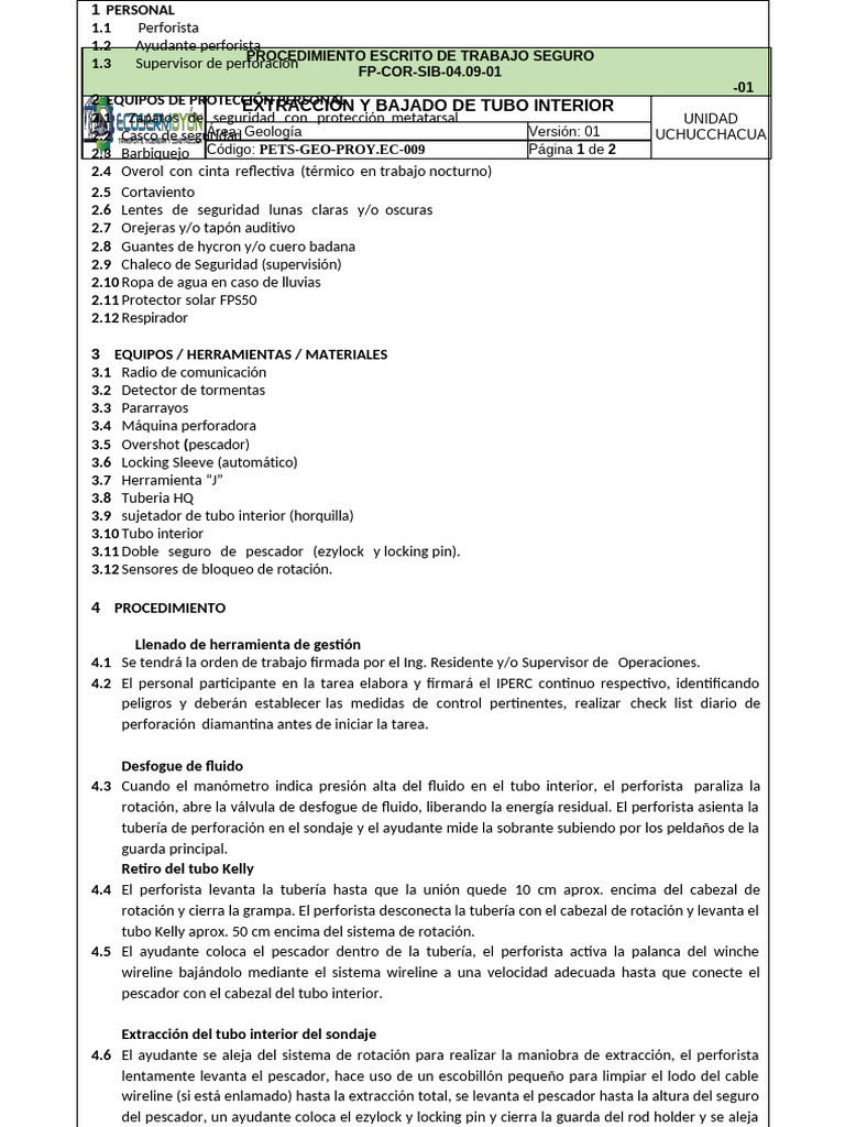PETS 009 EXTRACCION Y BAJADO DE TUBO INTERIOR | PDF