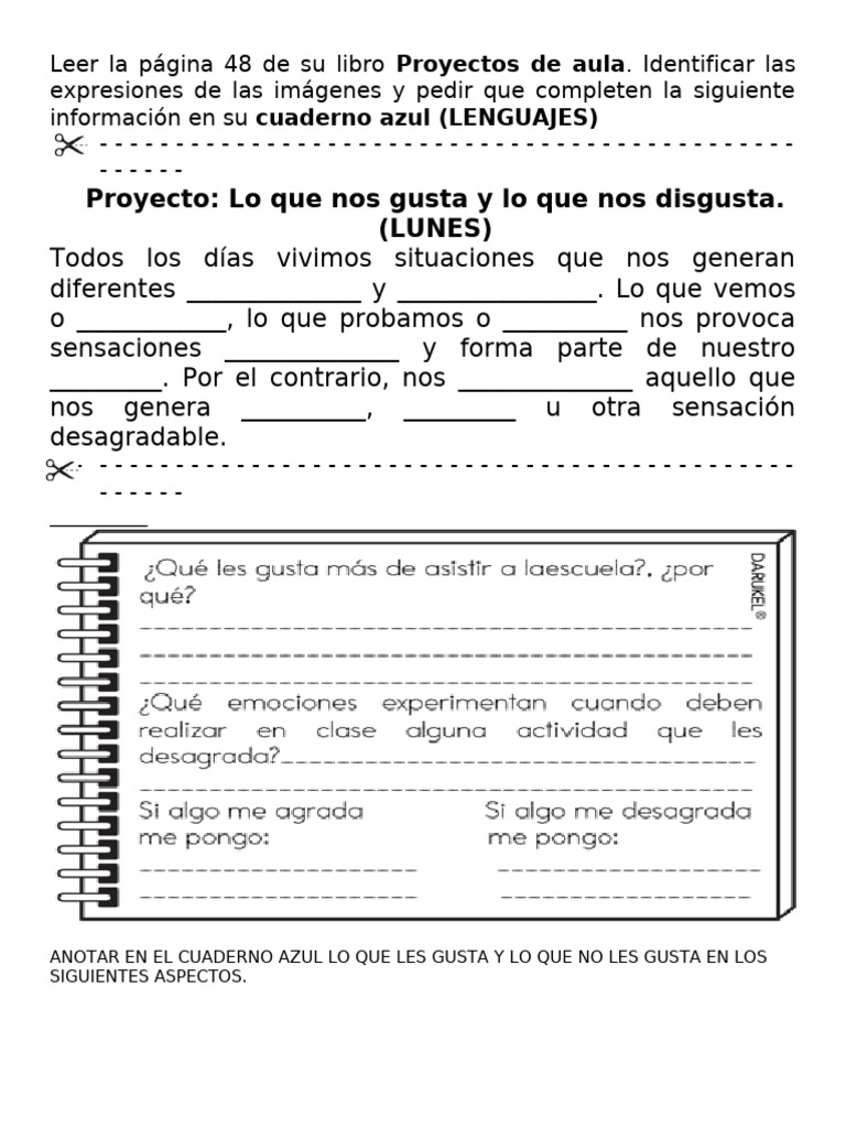Proyecto Lo Que Nos Gusta y No Nos Gusta | PDF