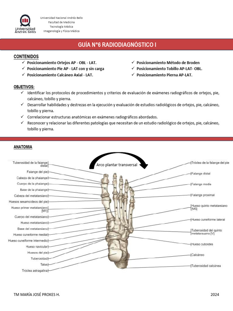 Guía 6 TP Posicionamientos RD I (1) | PDF | Tobillo | Pie