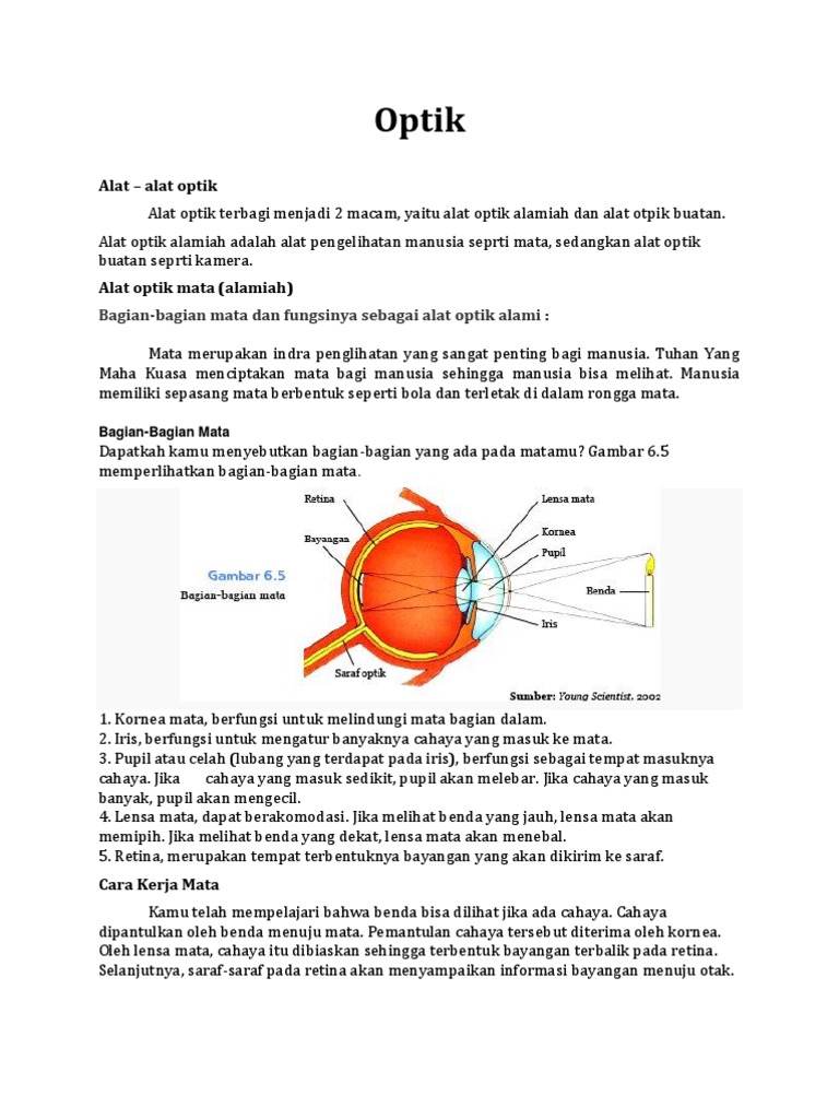Optik | PDF