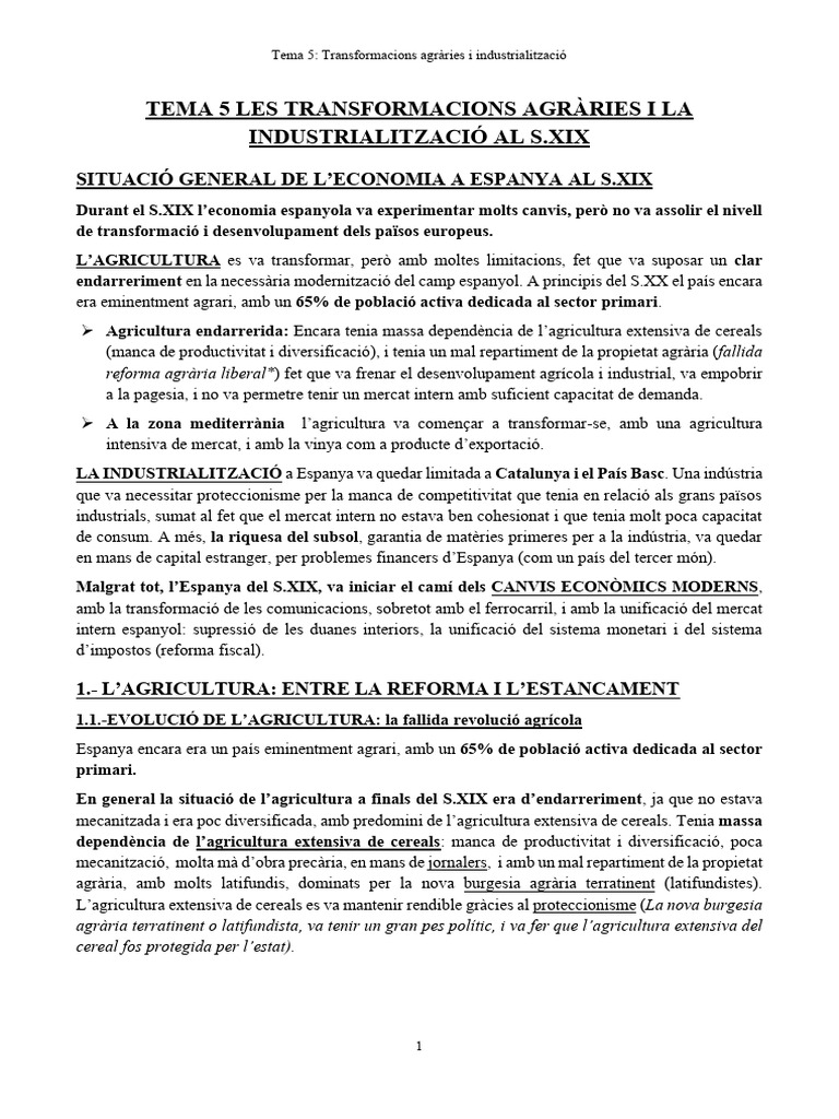 Tema 5 Economia S.xix (2) | PDF