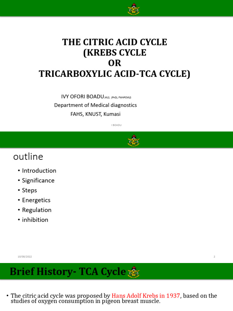 Lecture 5 - The Citric Acid Cycle MLT 1 | PDF | Diet & Nutrition ...