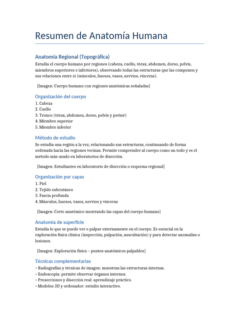 Anatomía Humana: Estudio Regional y Sistémico | PDF | Anatomía ...