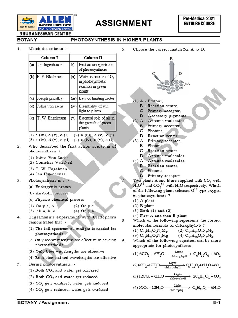03. Assign_PHOTOSYNTHESIS IN HIGHER PLANTS | PDF | Photosynthesis | Photochemistry