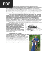 Nzn Kuris Skyrius Tikras | PDF