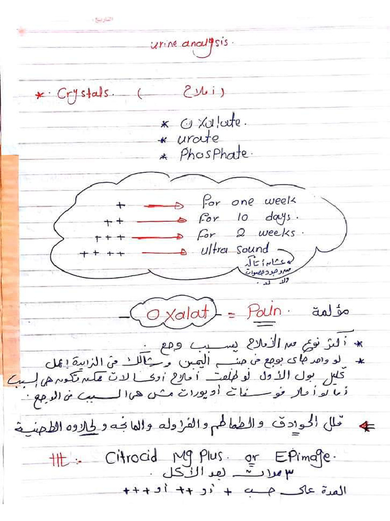 Urine Analysis | PDF