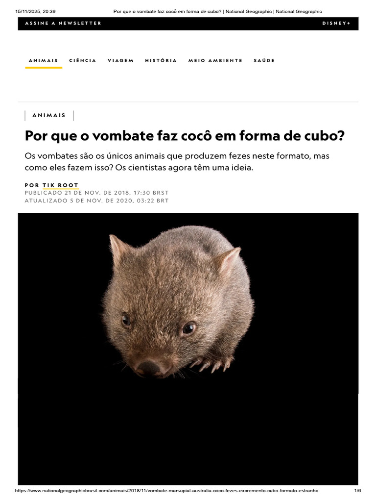 Por Que o Vombate Faz Cocô Em Forma de Cubo_ _ National Geographic ...