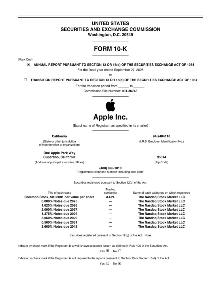 Apple Inc. 2025 Annual Report 10-K | PDF | Form 10 K | Intellectual ...