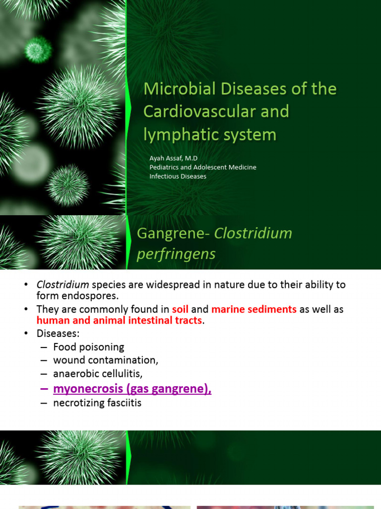 3Microbial Diseases of the Cardiovascular and Lymphatic System.pptx ...