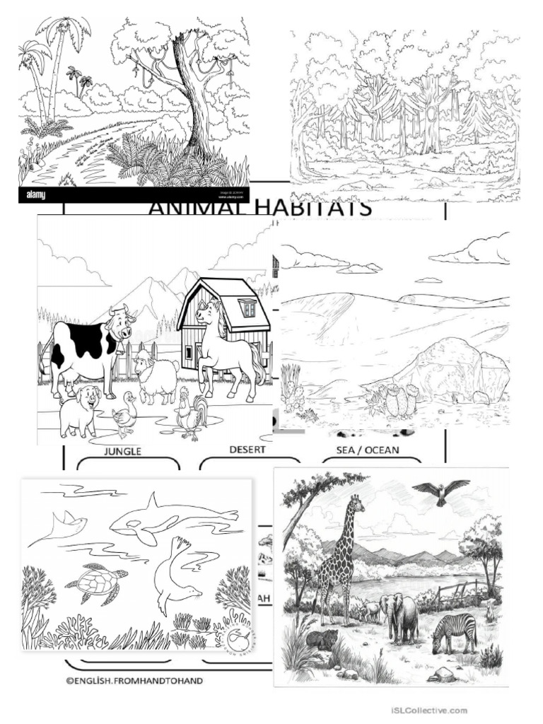 Animals Habitat | PDF