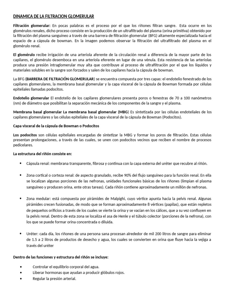 5 Resumen Expo Grupo 5 Scarlett Katinska Enide Juliette Nicol | PDF | Riñón