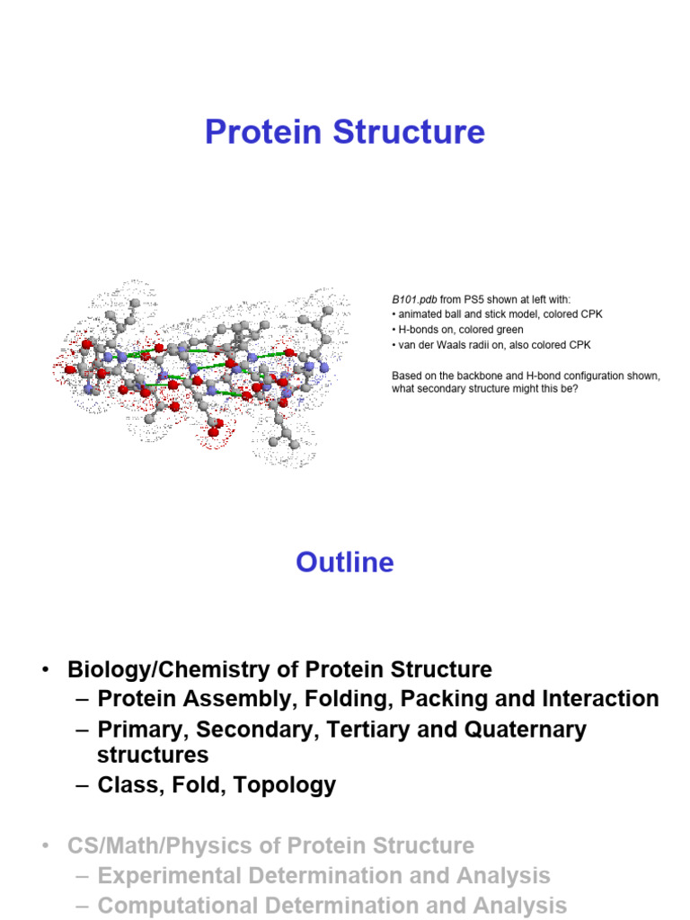 Protein Structure Edwin | PDF | Protein Structure | Alpha Helix