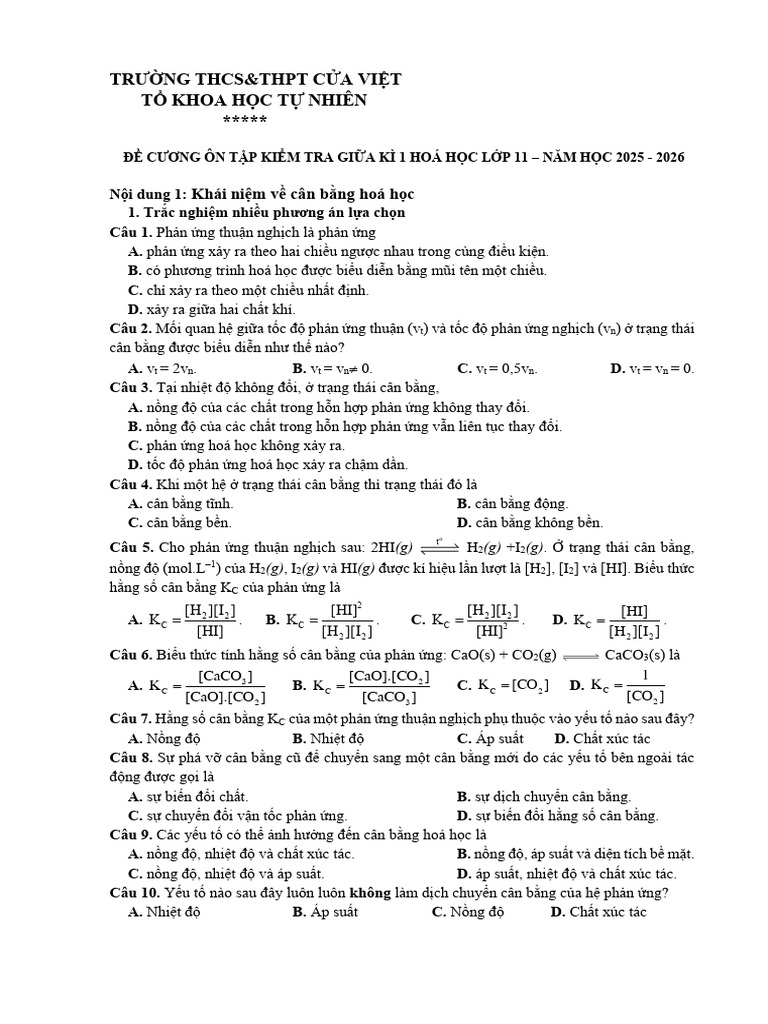 De Cuong on Tap Giua Ky 1 - Hoa 11 55f4e | PDF