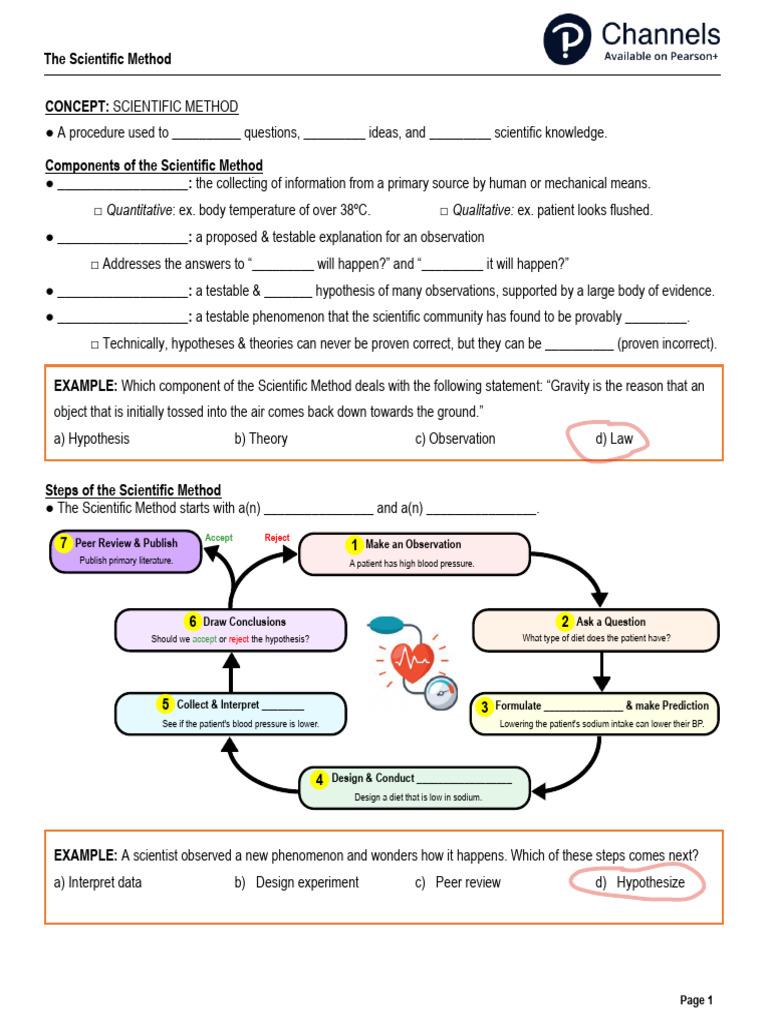 The Scientific Method-Worksheet | PDF | Hypothesis | Scientific Method