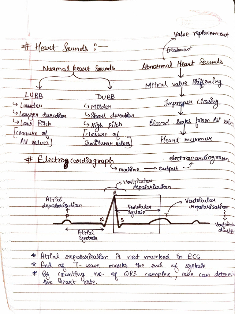 Adobe Scan Sep 24, 2025 (1) | PDF | Angiology | Cardiovascular System