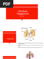 Anatomia da Glândula Suprarrenal | PDF | Glândula suprarrenal | Rim