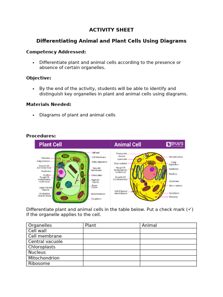 Activity Sheet Remediation 2 | PDF