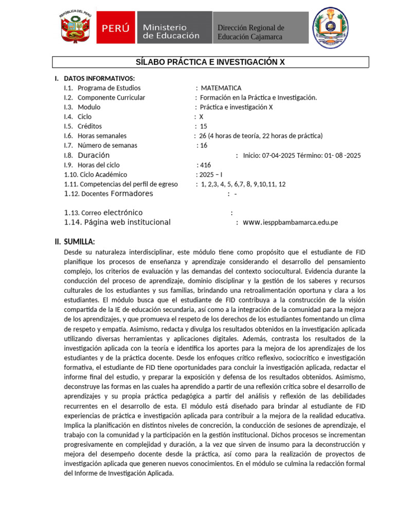 SÍLABO PRÁCTICA E INVESTIGACIÓN X- MATEM | PDF | Evaluación | Enseñando