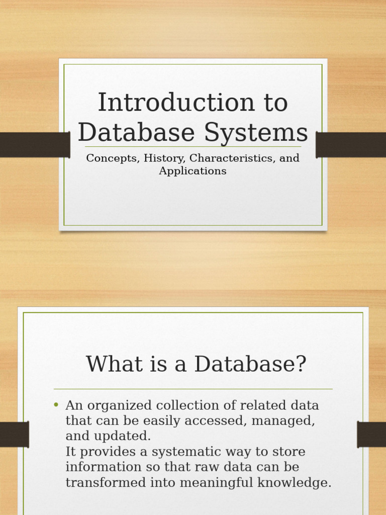 Overview of Database Systems and Applications | PDF | Databases ...