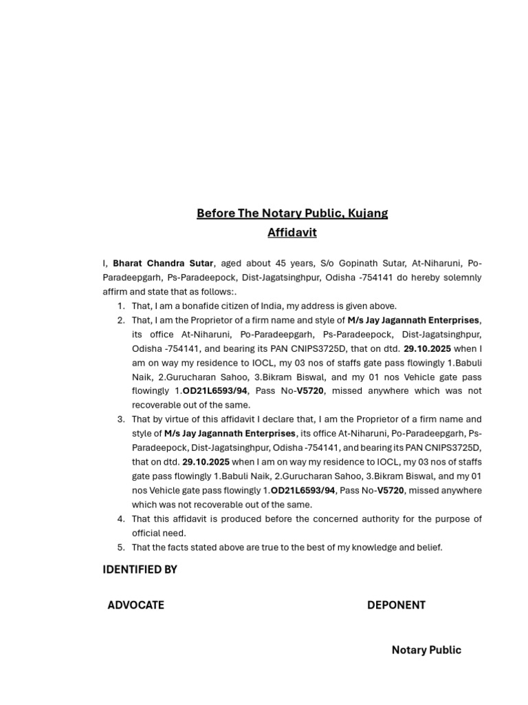 Before The Notary Public | PDF