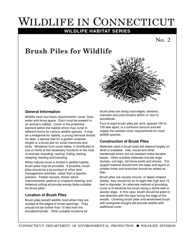 Brush Piles for Wildlife | Deep Foundation | Habitat