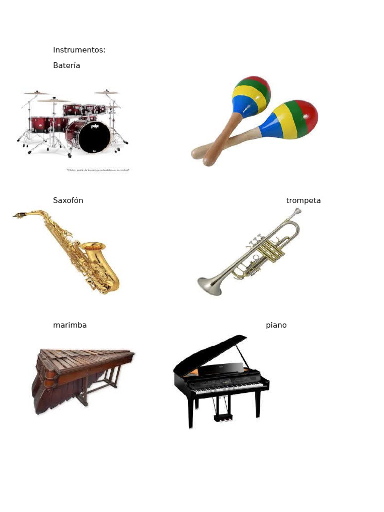 Instrument Os | PDF