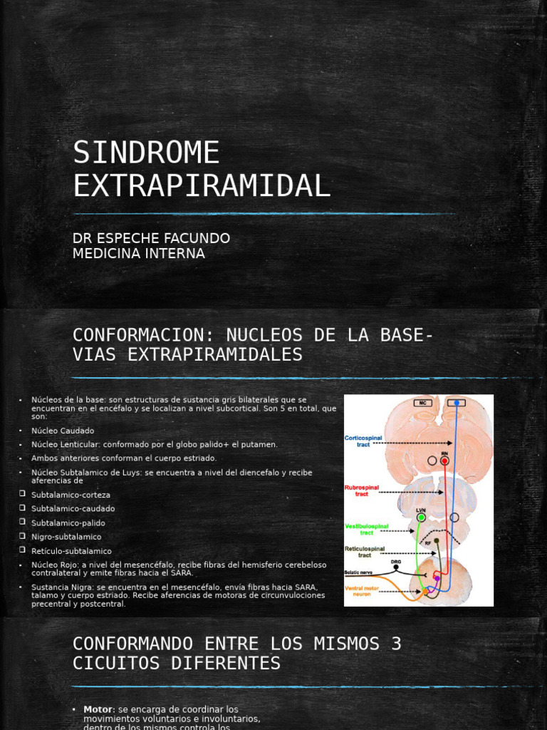 Sindrome Extrapiramidal | PDF | Enfermedad de Parkinson | Cerebelo