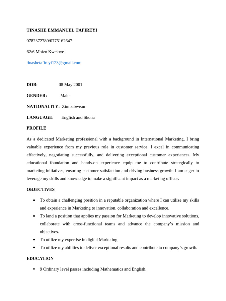 Tinashe Cv | PDF