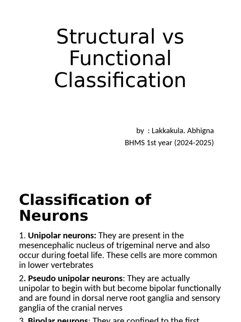 Structural Vs Functional Classification | PDF | Autonomic Nervous ...