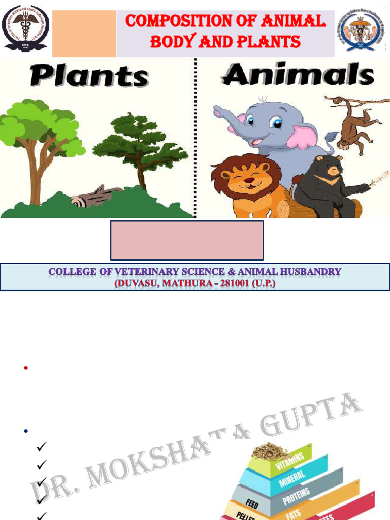 Composition of Animal Body and Plants-Watermark | PDF | Seed | Soil