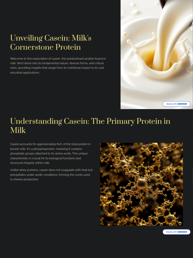 Unveiling Casein Milks Cornerstone Protein | PDF