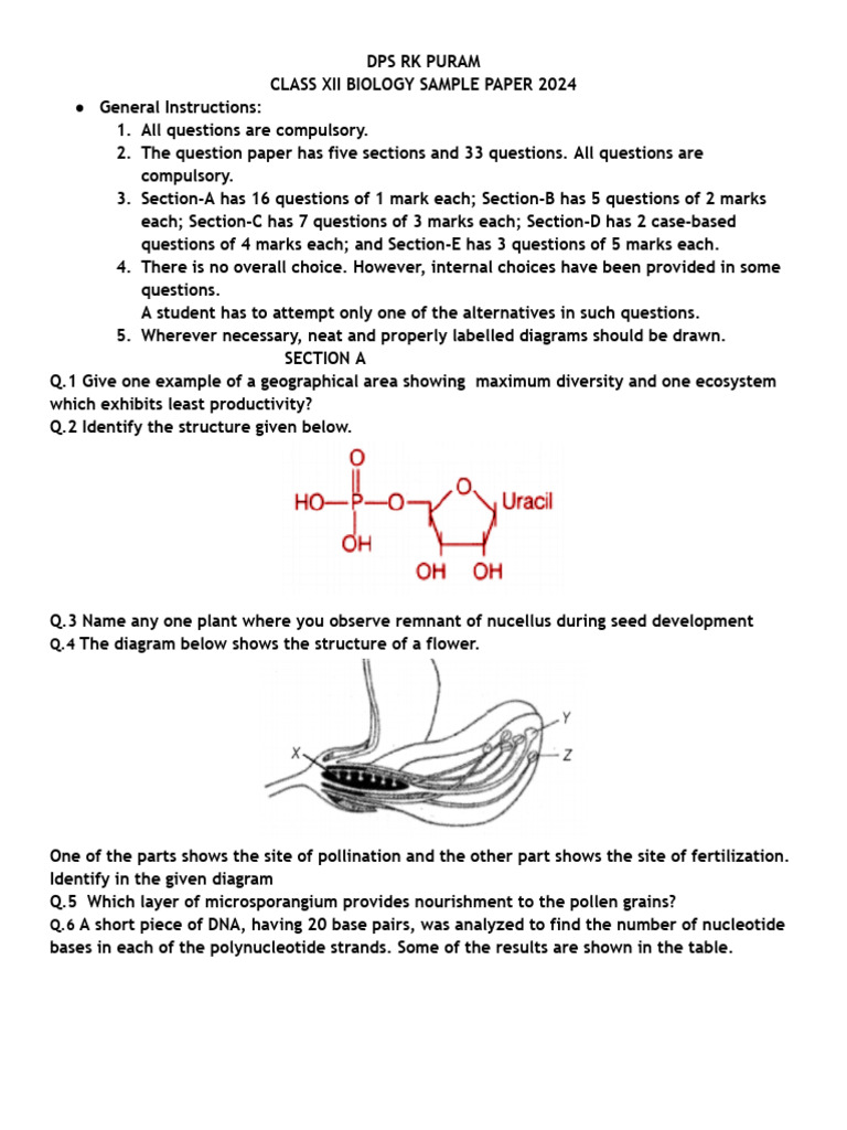 Class XII Biology Sample Paper 2024 | PDF | Karyotype | Biological ...