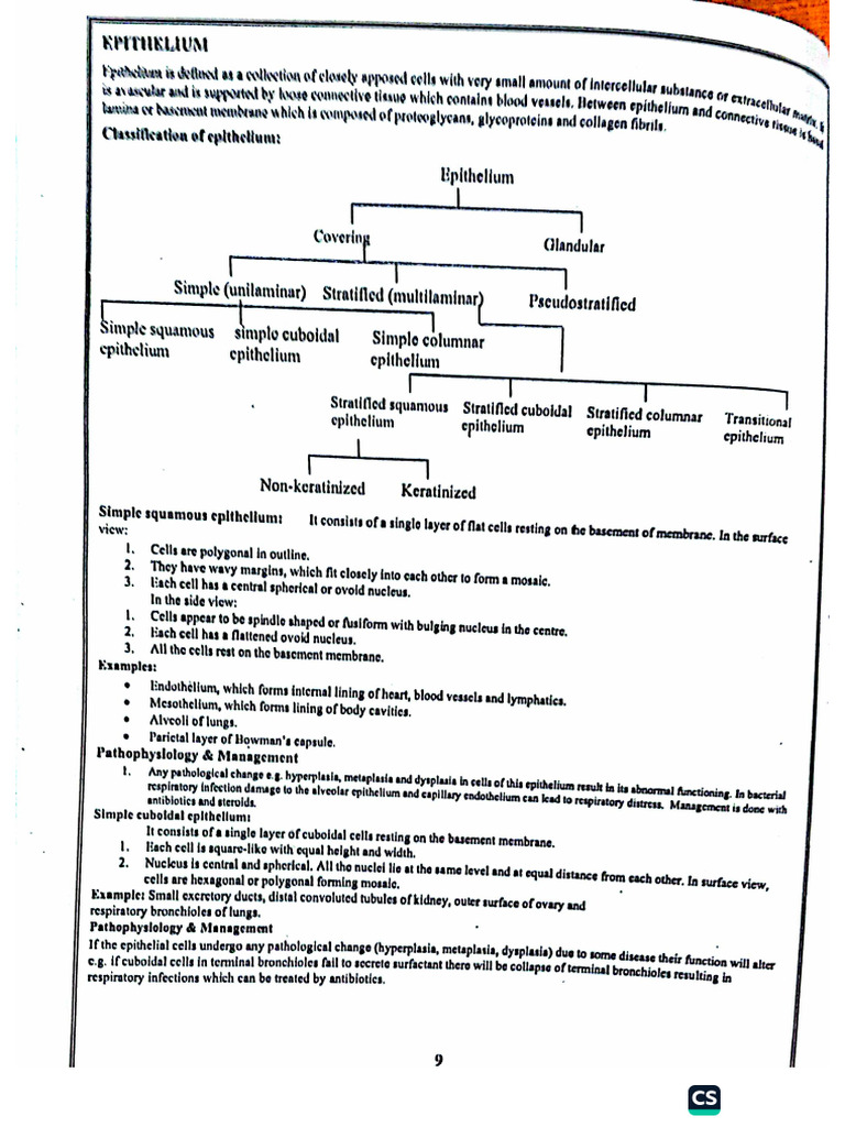 Histo Short Notes | PDF