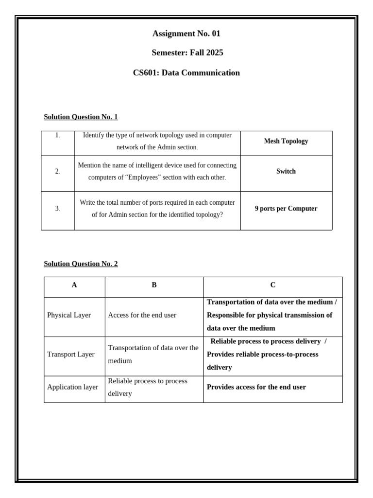 CS601 Data Communication Assignment Solution | PDF