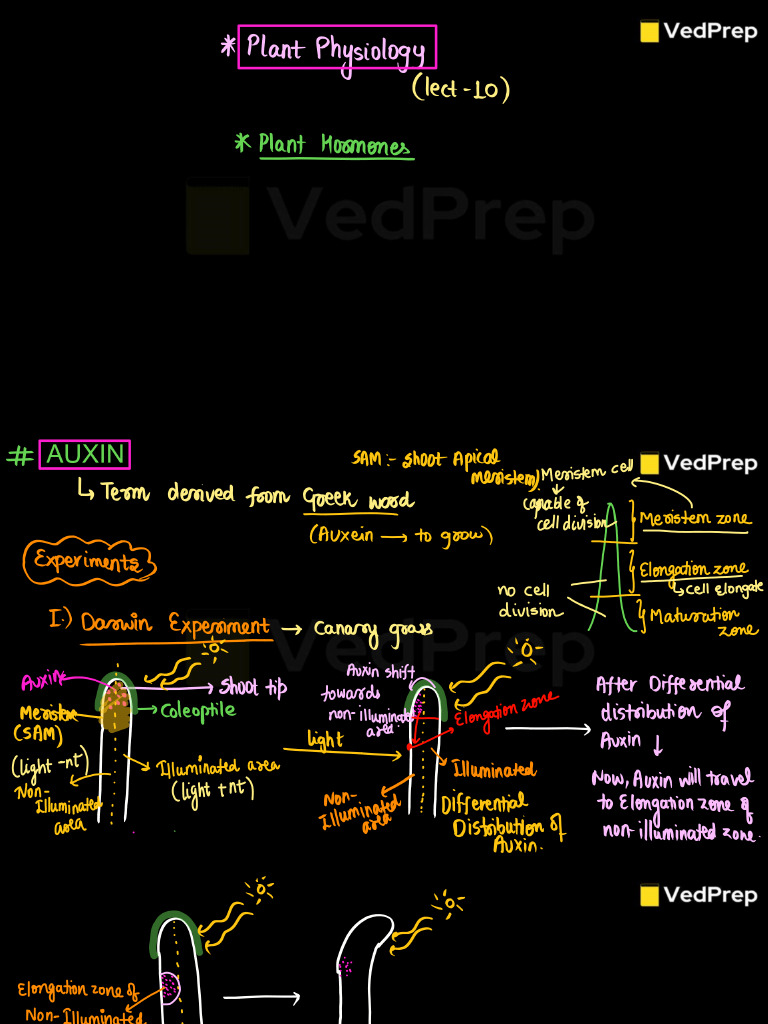 Plant Physiology Lec-10 | PDF