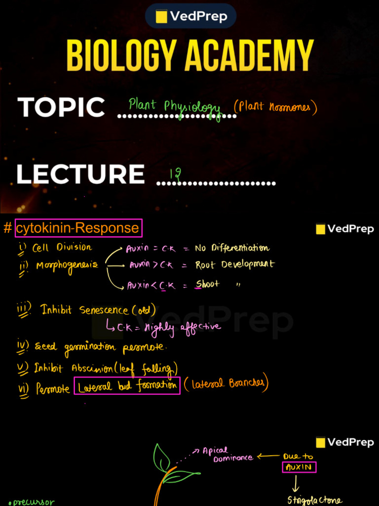 Plant Physiology Lec-12 | PDF