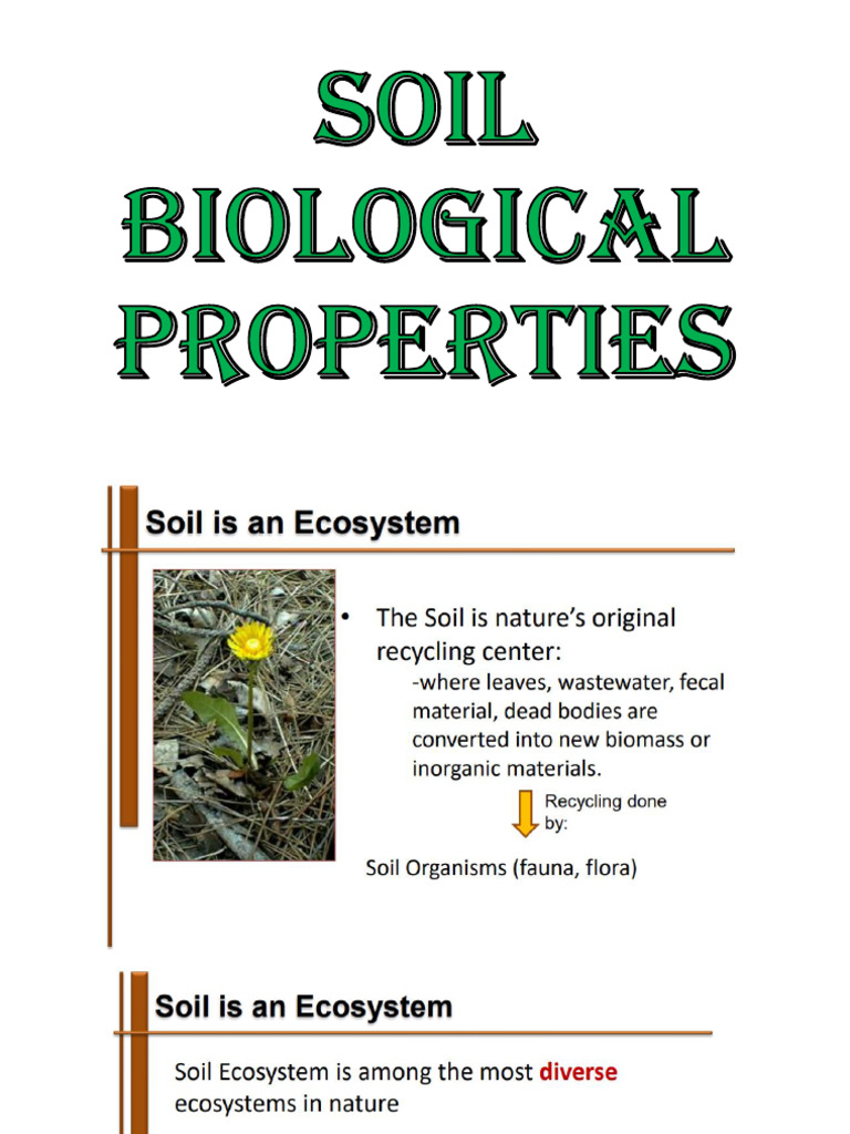 Final Topic 2 Soil Biological Properties | PDF