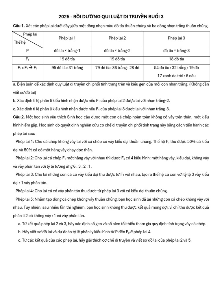 2025 - B3 - QLDT | PDF
