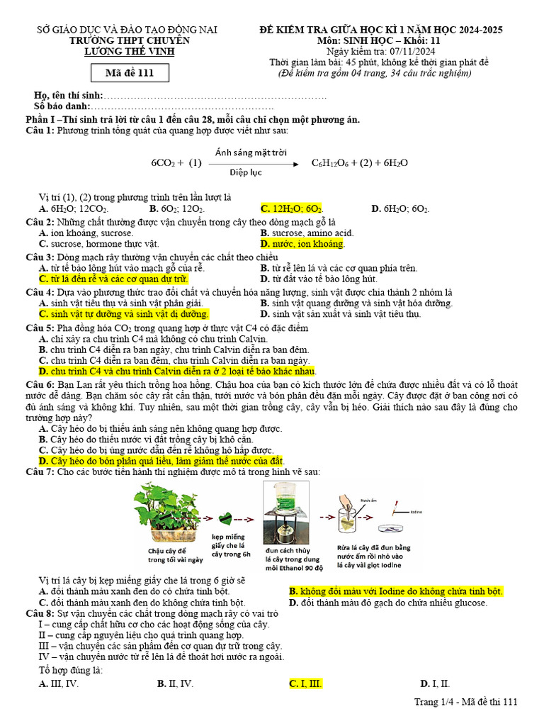 GIUA HK1_SINH 11_2024-2025_111 | PDF