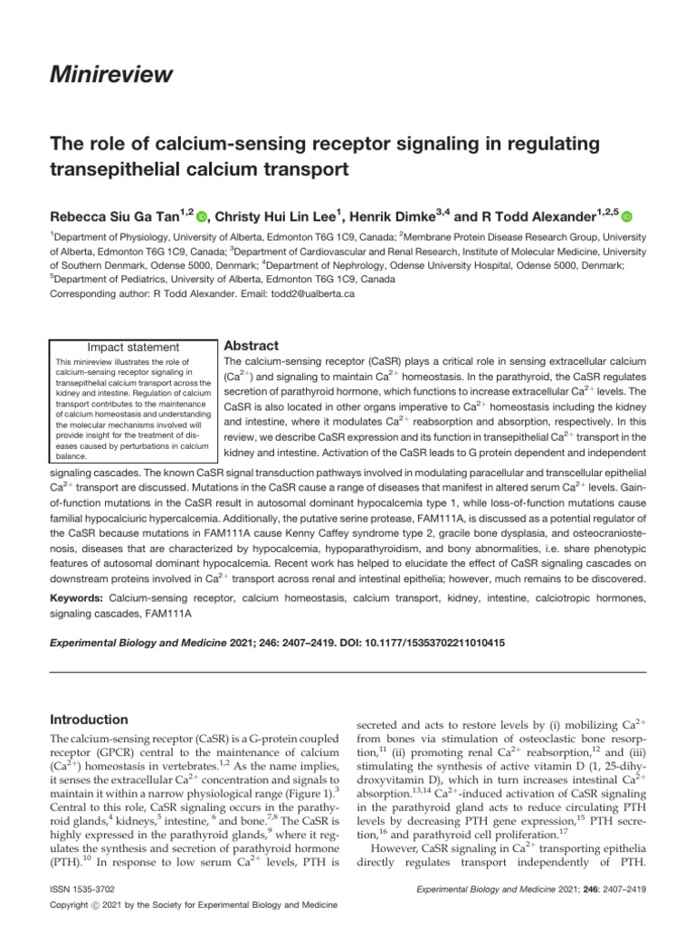 Minireview: The Role of Calcium-Sensing Receptor Signaling in ...